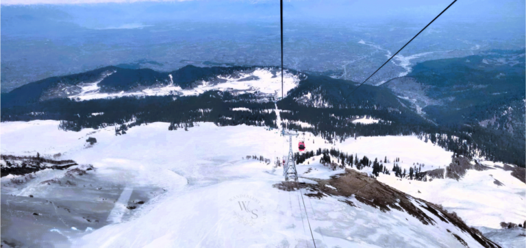 Gulmarg Gondola: A Complete Guide to India’s Most Iconic Cable Car Ride ...